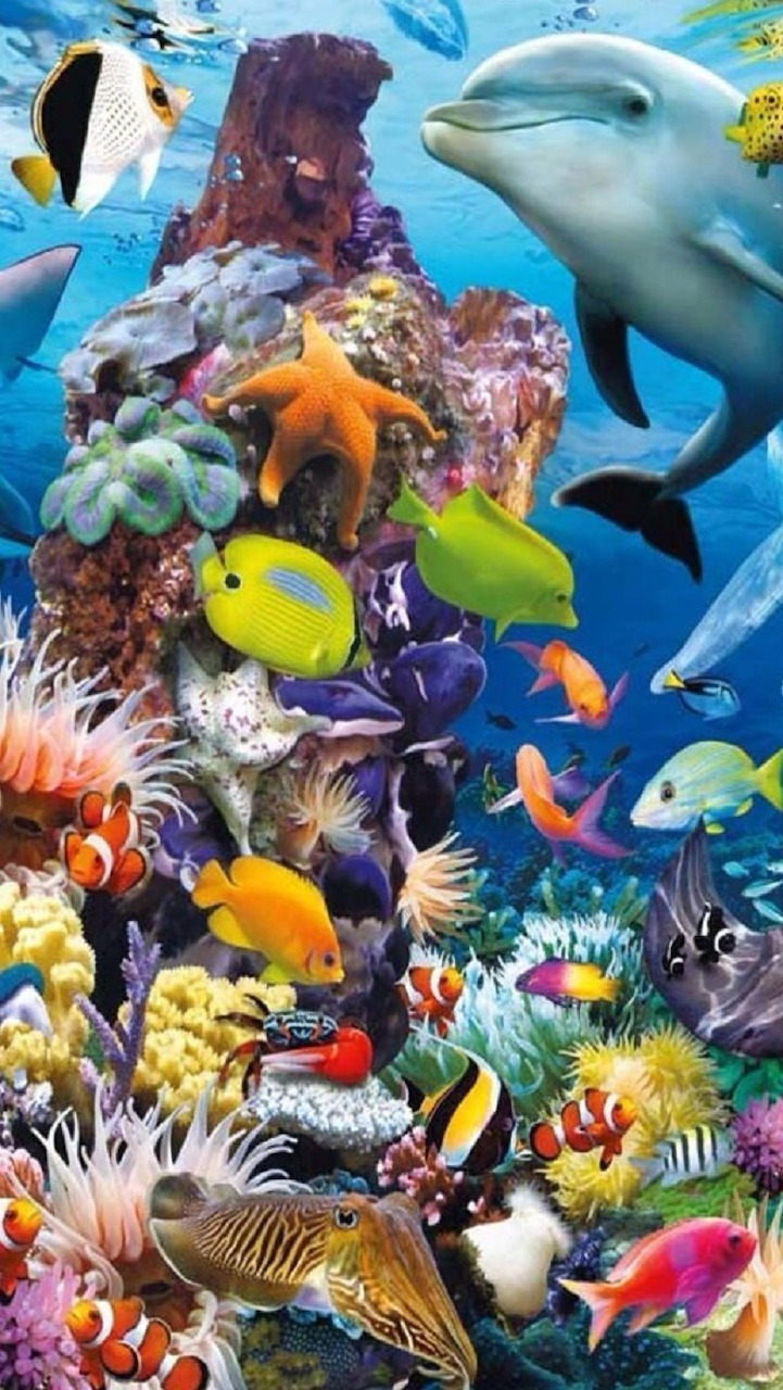 OCEAN , SEA , LAKES,