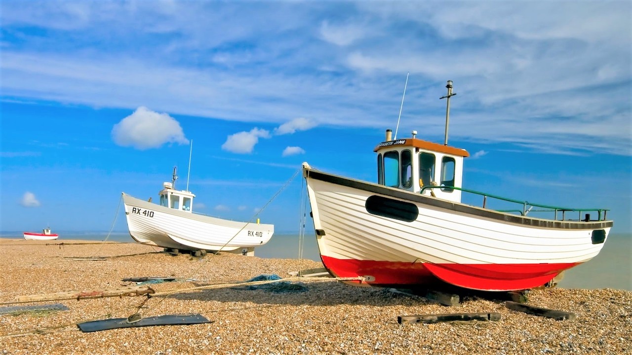 boats